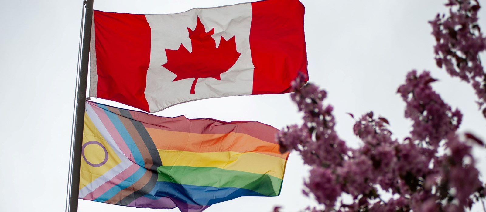 LRSD Pride Parade Information